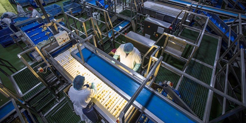Tong Broadens Processing Portfolio through Partnership with Marcelissen ...