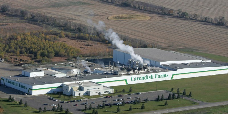 Cavendish Farms Ask for Potato Accessibility for Its Processing Plant ...