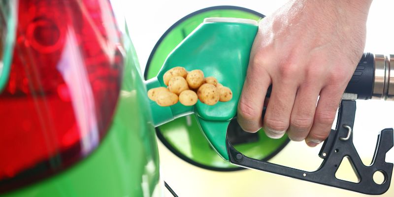 Steps Ahead for the Indian Bioethanol Industry Thanks to Potato Waste ...