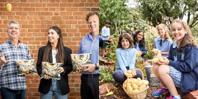 Mitolo Family Farms Develops Sustainable Paper Packaging for Fresh ...