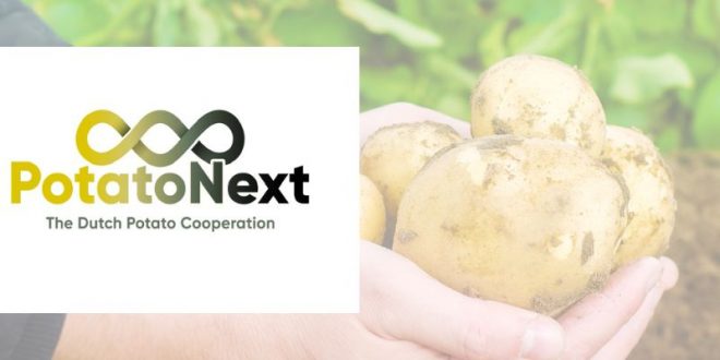 A New Independent Cooperative of Common Consumption Potatoes – Potato ...
