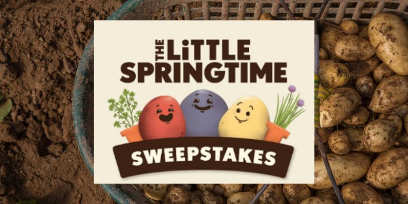 The Little Potato Company: Bringing ‘A Little Spring’ in Families ...