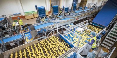 Building an Efficient Potato Storage Facility – Potato Business