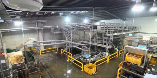 93-Year-Old Potato Chip Producer Turns to Vanmark to Upgrade Its Bulk ...