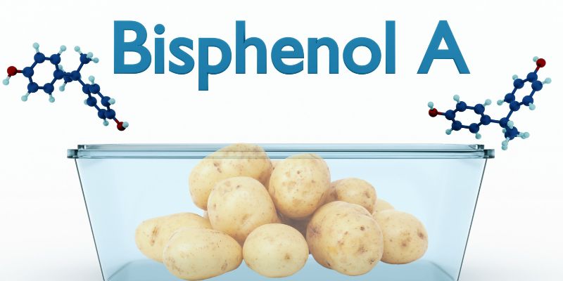 European Union Bans Bisphenol A in Food Contact Materials – Potato Business