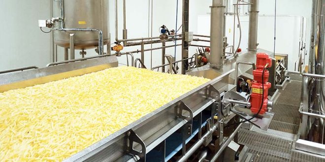 Kiremko Remote Service Starts Up French Fry Line in Morocco – Potato ...