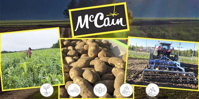 Transforming the Potato Farming in South Africa – Potato Business