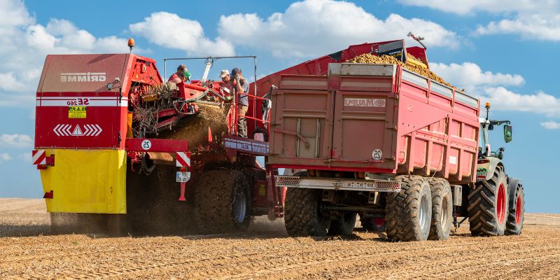 Potato Lifting in Normandy and Belgium Slowed Down – Potato Business