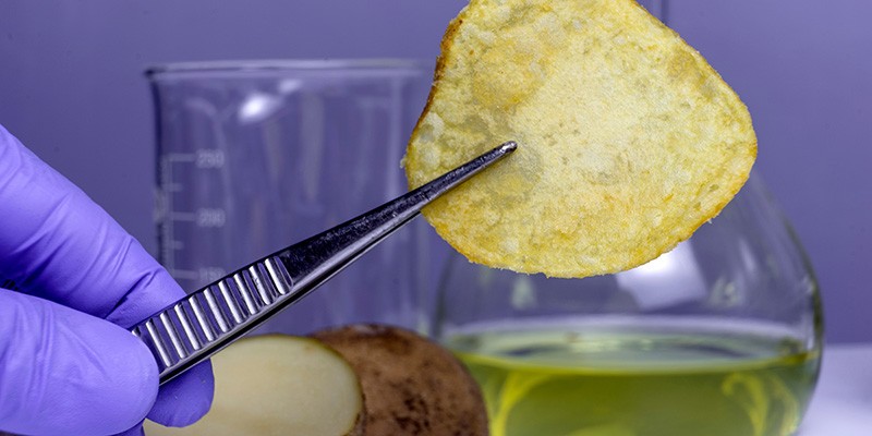 Novel U.S. Biotech Greenhouse Enterprise Focused on Processing Potatoes ...