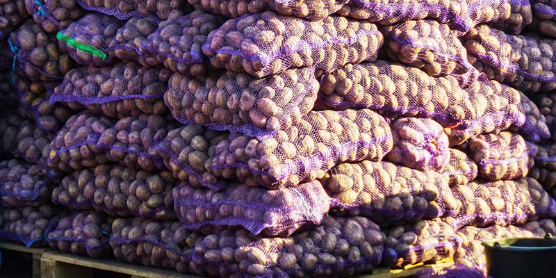 US Spud Stocks on Hand Went Up 3% on April 1 – Potato Business