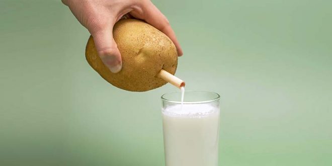 Raw Idaho Grown Taters to Become ‘Tatorade Sports Milk’ – Potato Business