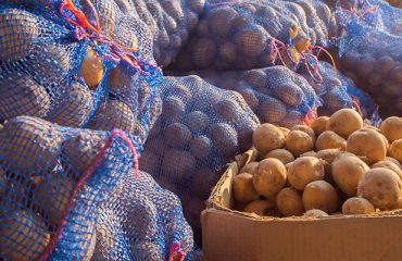 Potato Business – supporting the potato industry worldwide