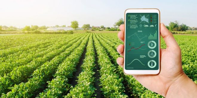 Smartphone-based DRS Detection of Potato Late Blight Disease – Potato ...